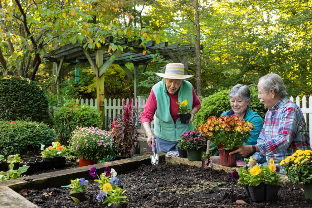 Springhouse - Boston Nonprofit Senior Living Community | HumanGood