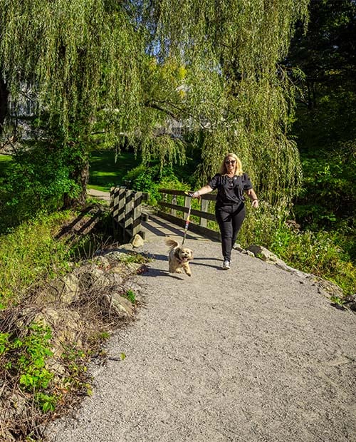 Nonprofit Independent Living for Seniors in Boston | Springhouse