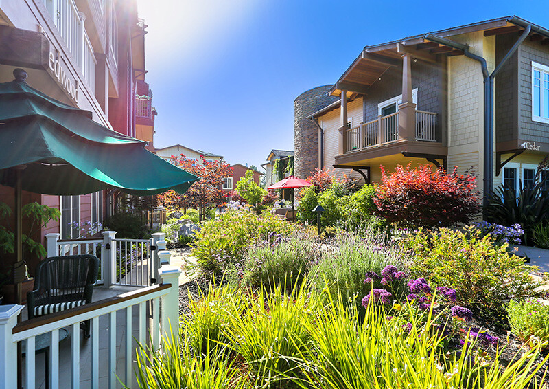 Why Choose a Life Plan Community in Los Altos, CA? | The Terraces at ...