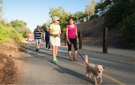 Our Approach to Post-Acute Rehabilitation | Regents Point