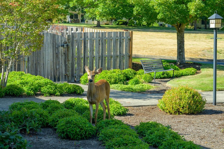 Explore Hillside | A HumanGood Community